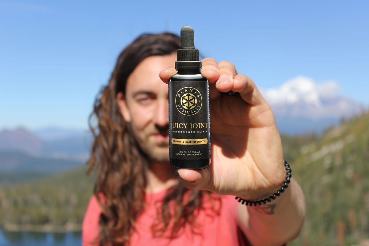 Plants Basically – PLANTSBASICALLY